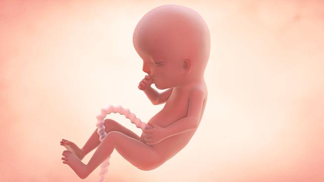 13 Semanas de Embarazo: Tamaño del Bebé, Síntomas y Consejos | Enfamil